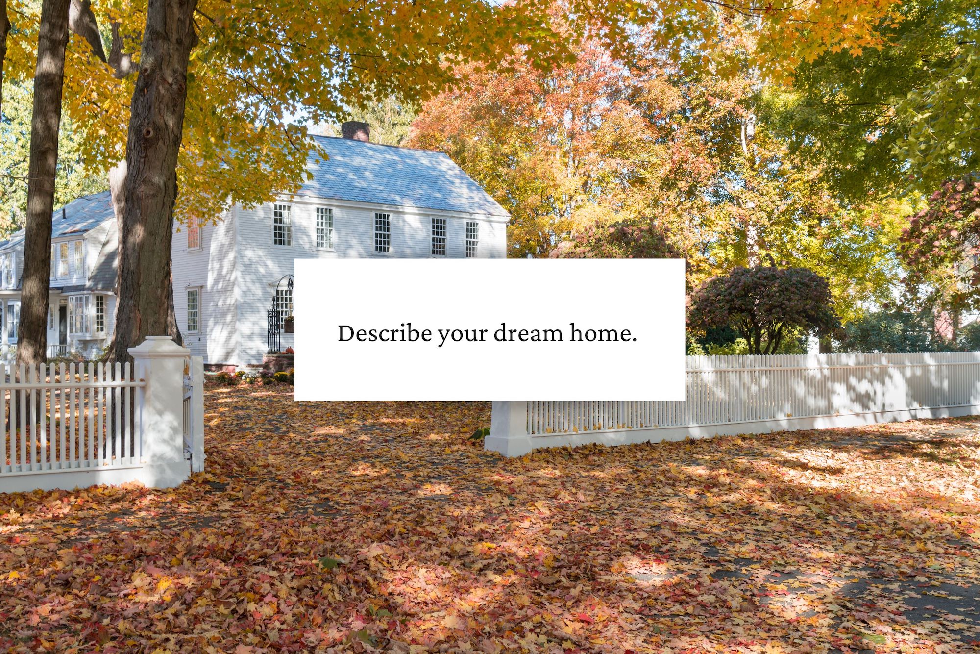 Project Emily Advent: Day 15 | Project Emily