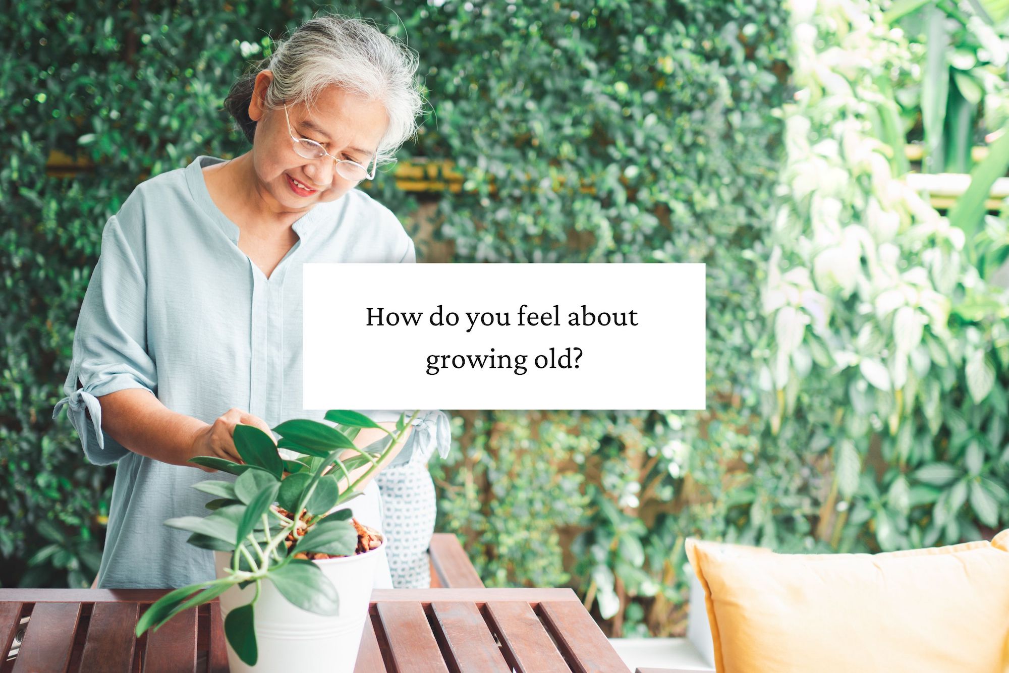 Project Emily Advent: Day 2 | Project Emily