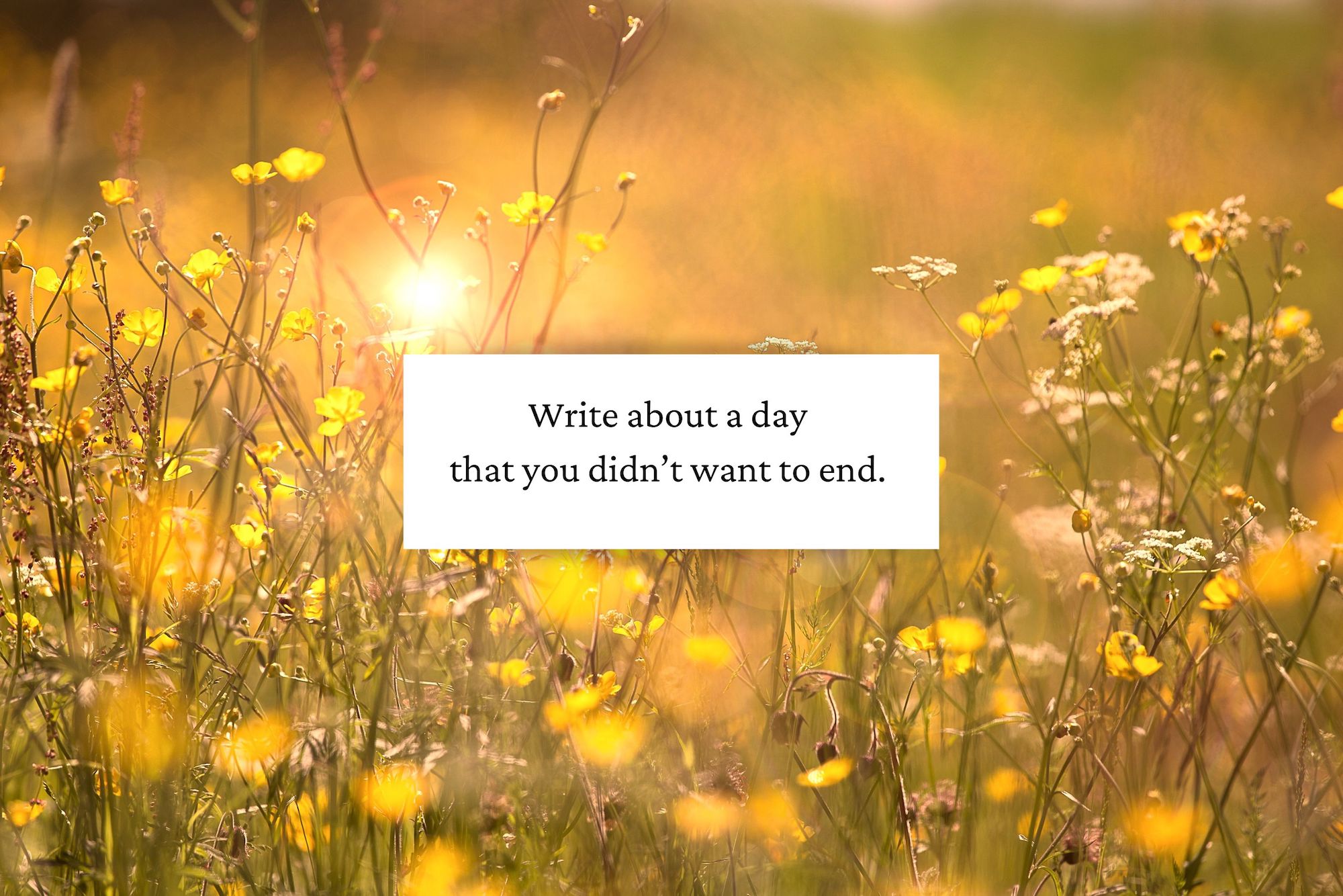 Project Emily Advent: Day 5 | Project Emily